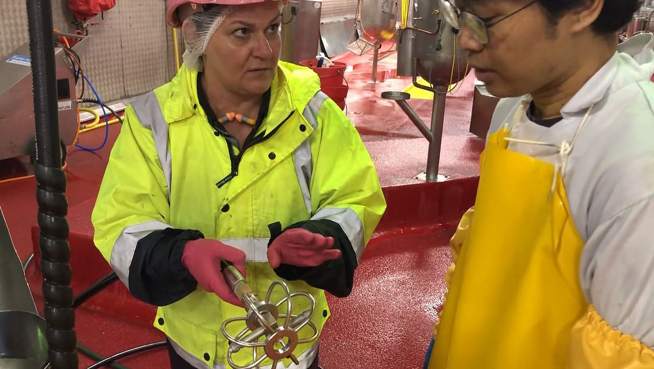 Foamico & low-pressure system servicing and repairs - Hyjien